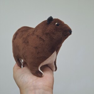 Rock Hyrax #5 - Rock Badger - Cape Hyrax - Dassie - 1 Pc - Soft Toy ...