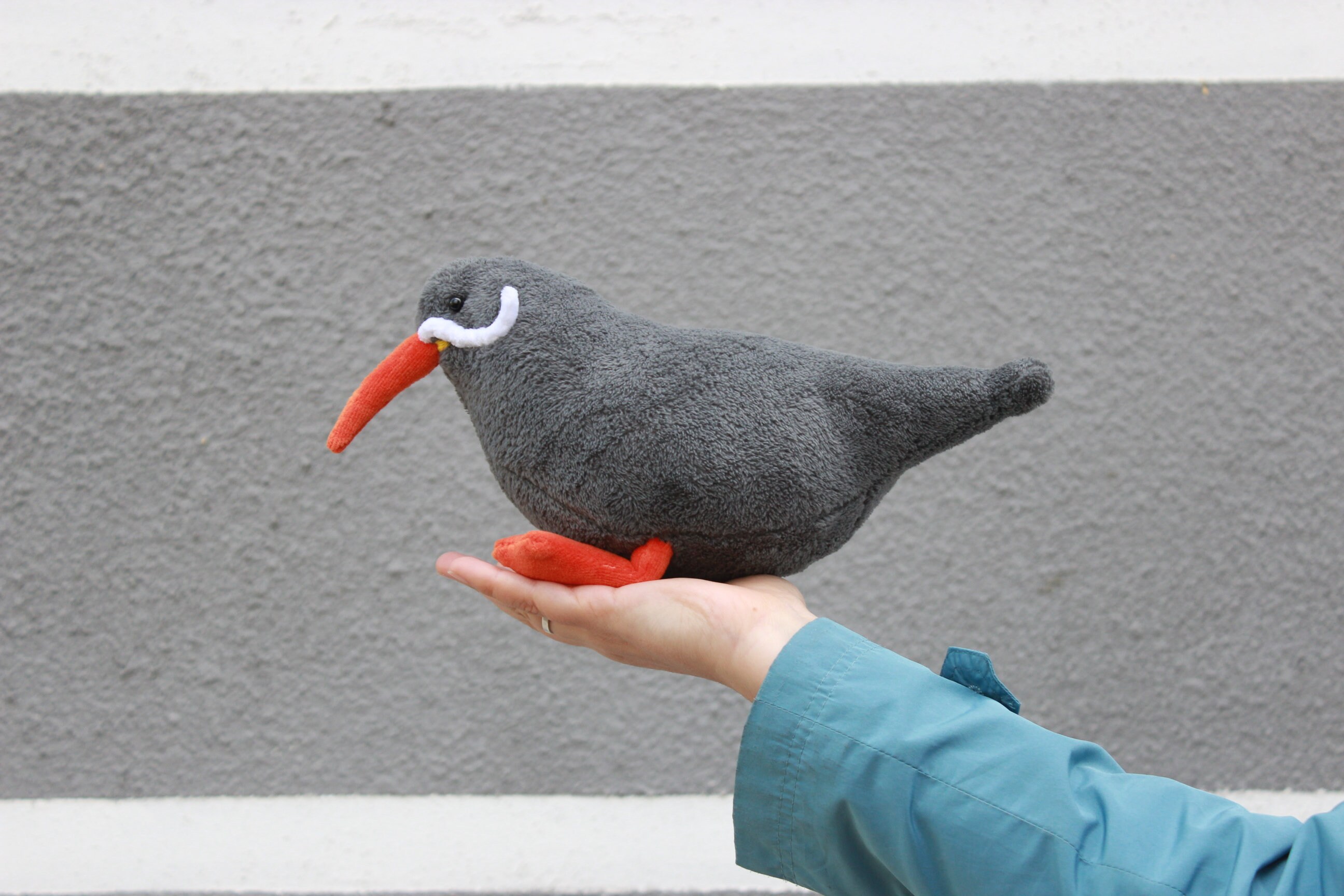 Inca Tern Bird Stuffed Toy | Etsy