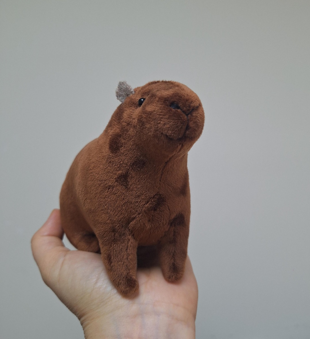 MADE TO ORDER Plushie Capy - Etsy