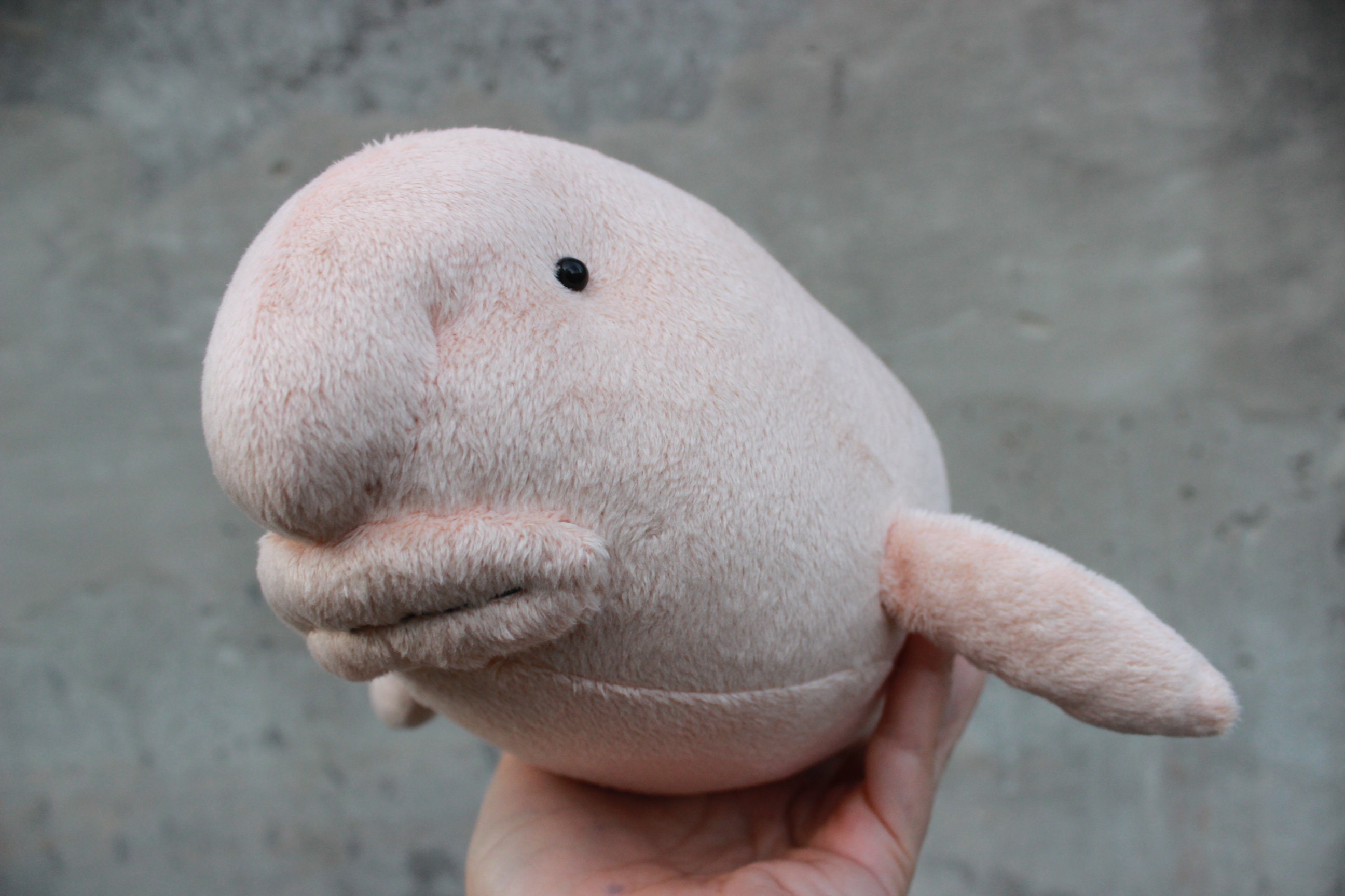Blobfish Plushie Blobfish Stuffed Toy Blob Fish Plush | Etsy