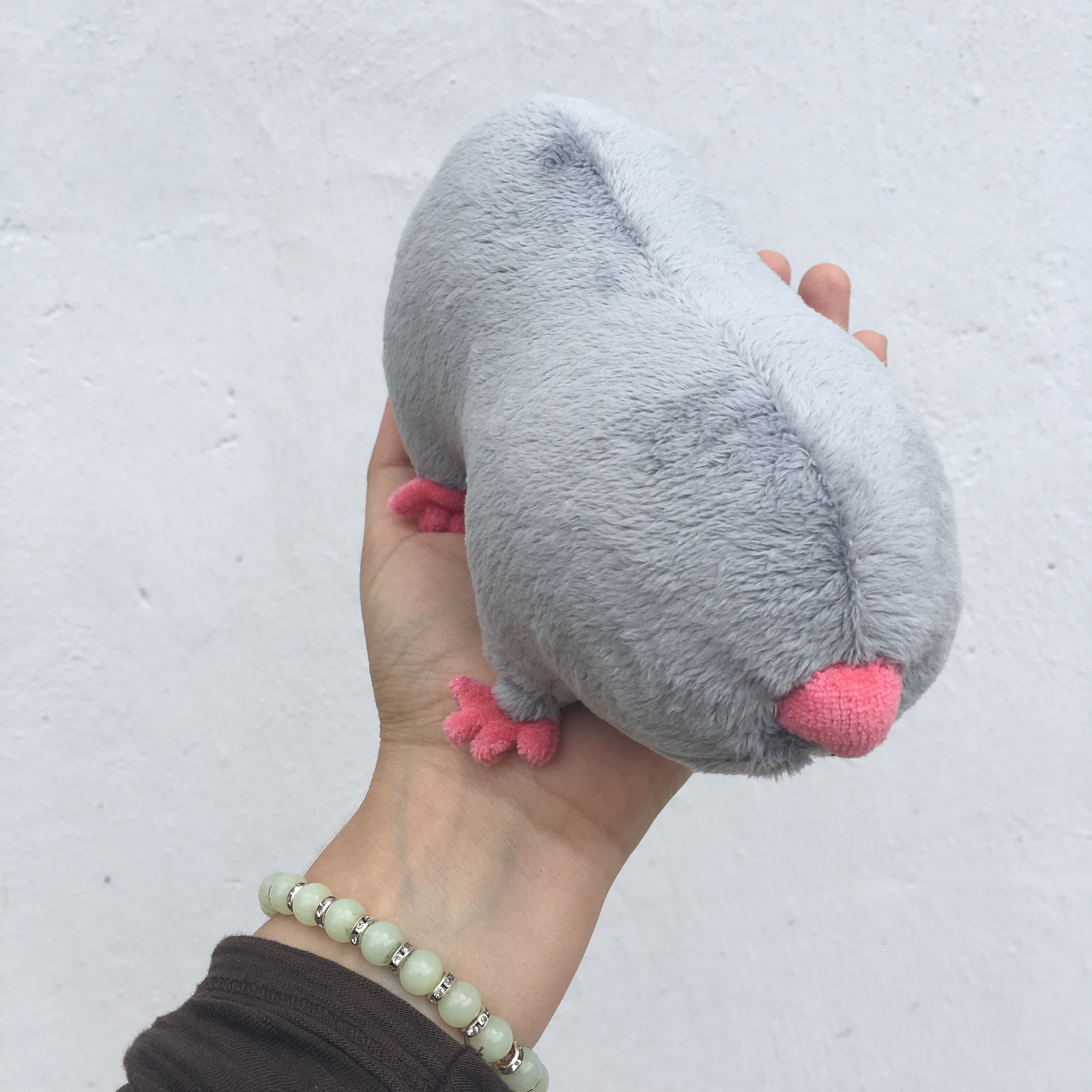 Stuffed Mole Chemistry Project