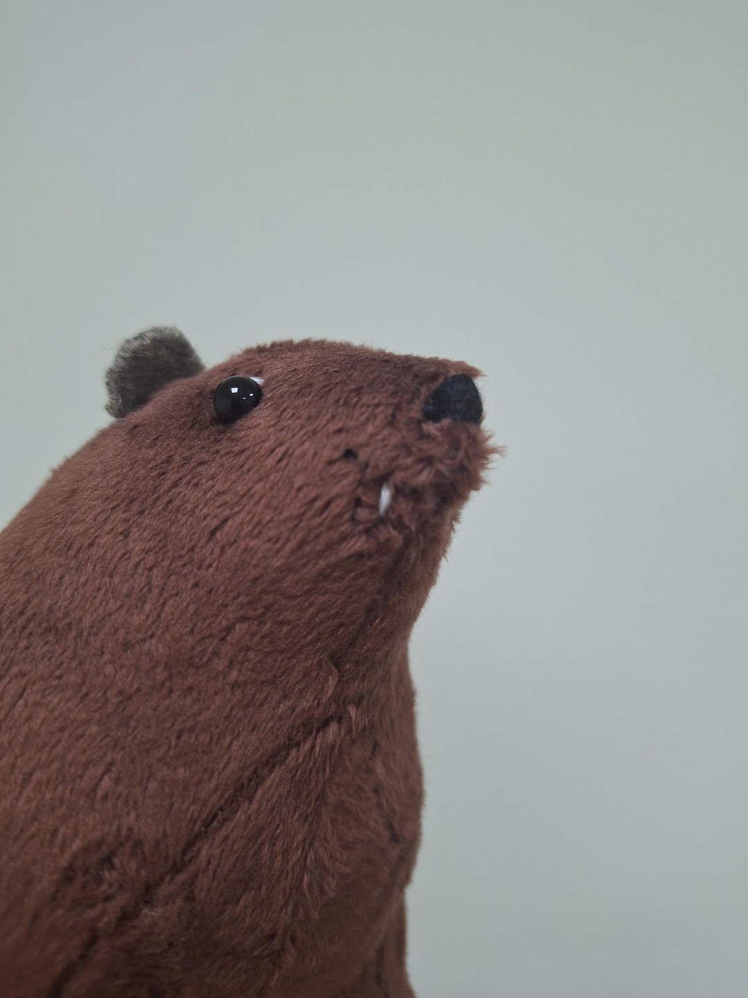 Rock Hyrax #14 - Rock Badger - Cape Hyrax - Dassie - 1 Pc - Soft Toy ...