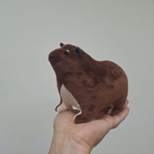 Rock Hyrax #5 - Rock Badger - Cape Hyrax - Dassie - 1 Pc - Soft Toy ...