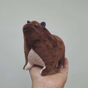 Rock Hyrax #5 - Rock Badger - Cape Hyrax - Dassie - 1 Pc - Soft Toy ...