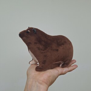 Rock Hyrax #5 - Rock Badger - Cape Hyrax - Dassie - 1 Pc - Soft Toy ...