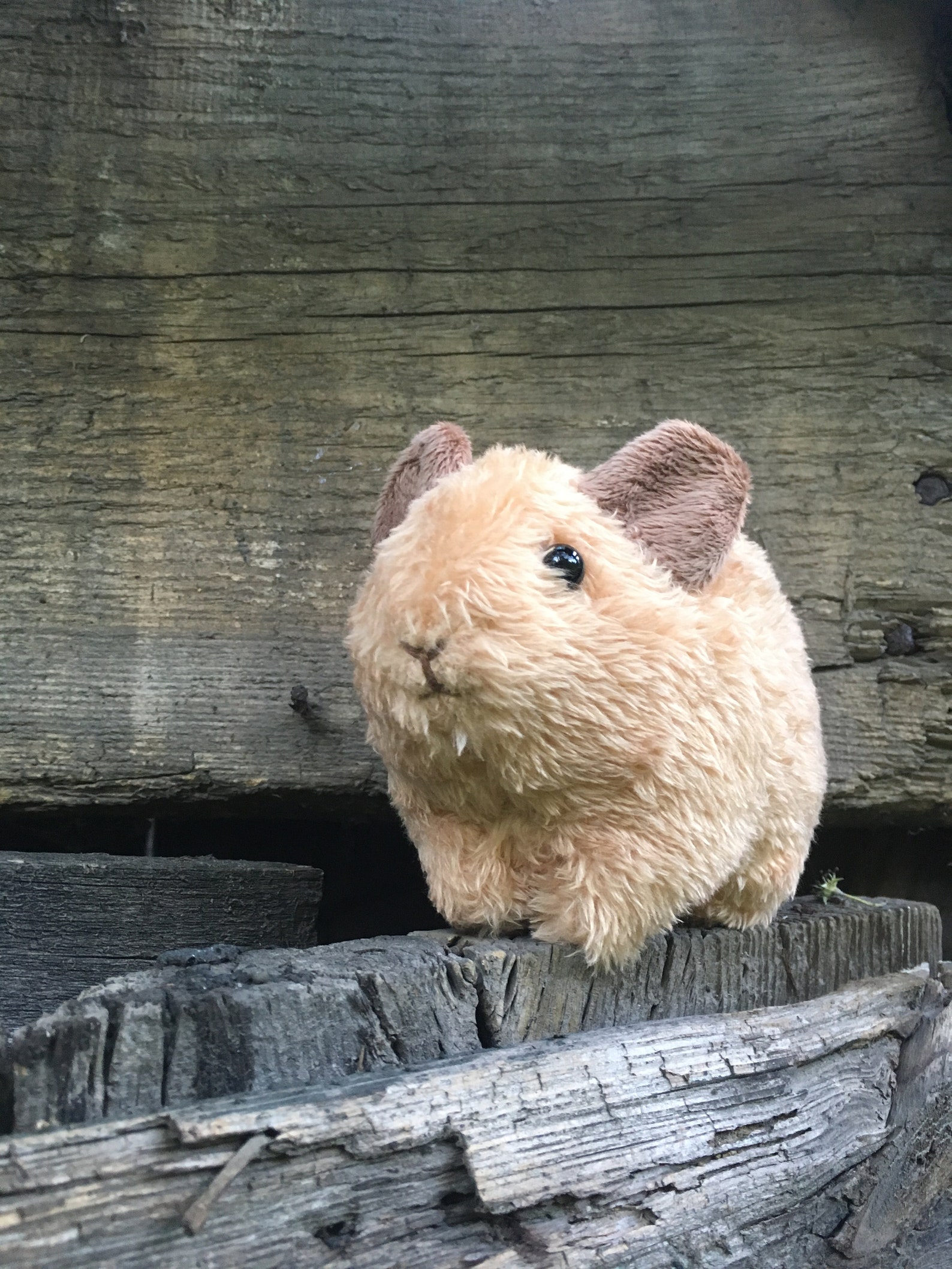 Pika Plushie Stuffed Toy Pika Unusual Stuffed Animals | Etsy