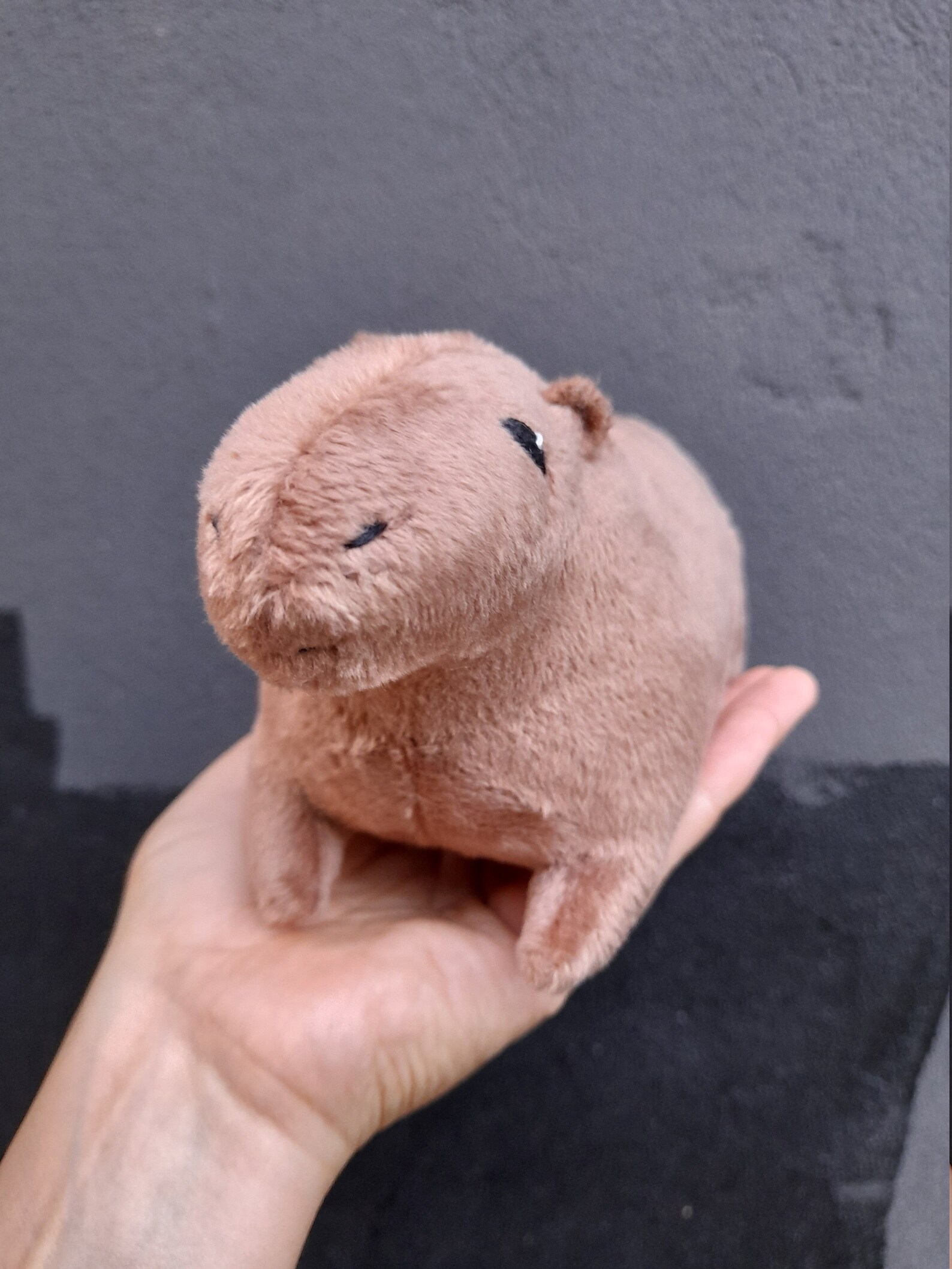 Capybara Plush Toy Stuffed Capybara Plushie Fluffy | Etsy