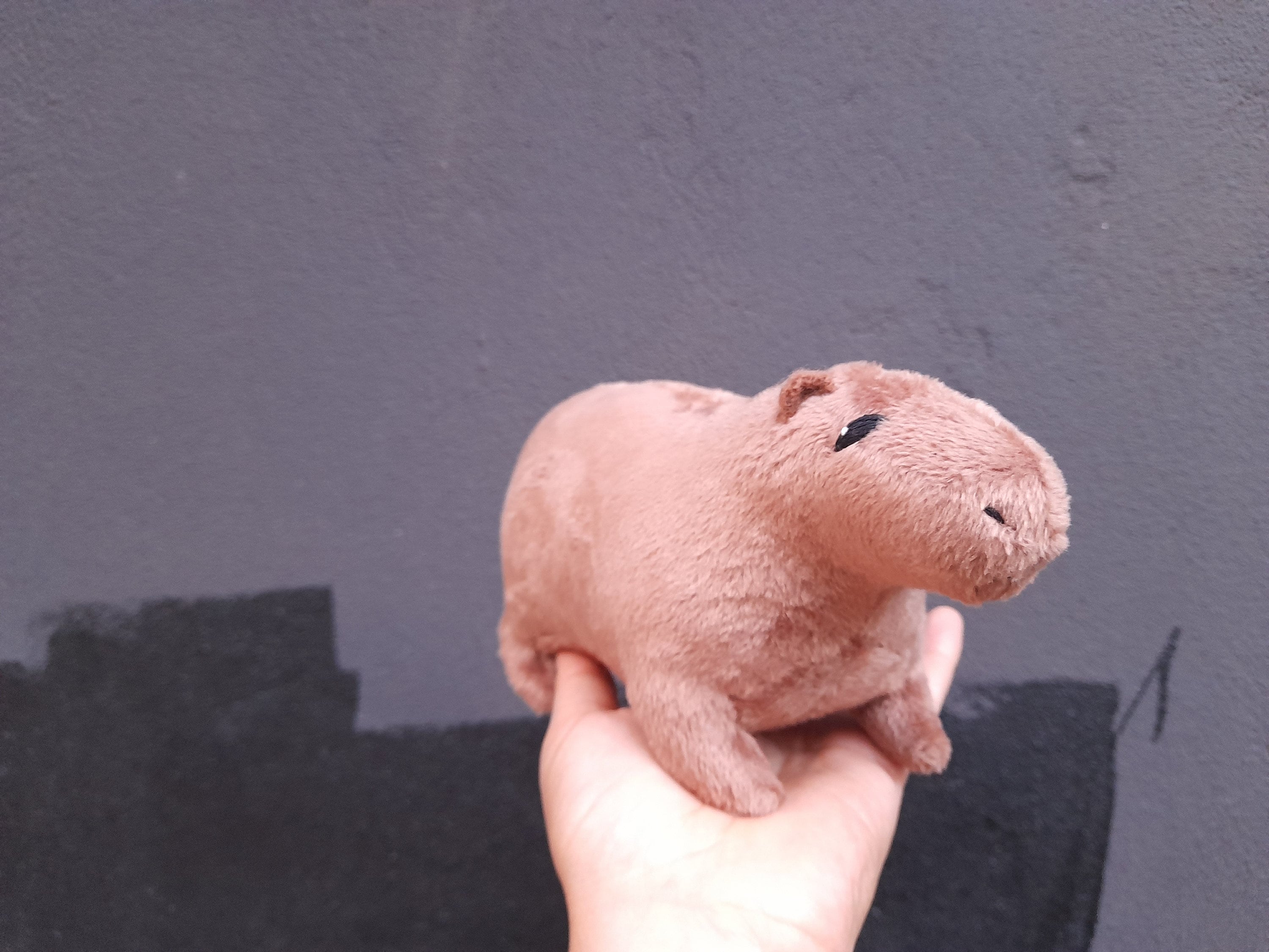 peluche de capibara Gran venta OFF-57%