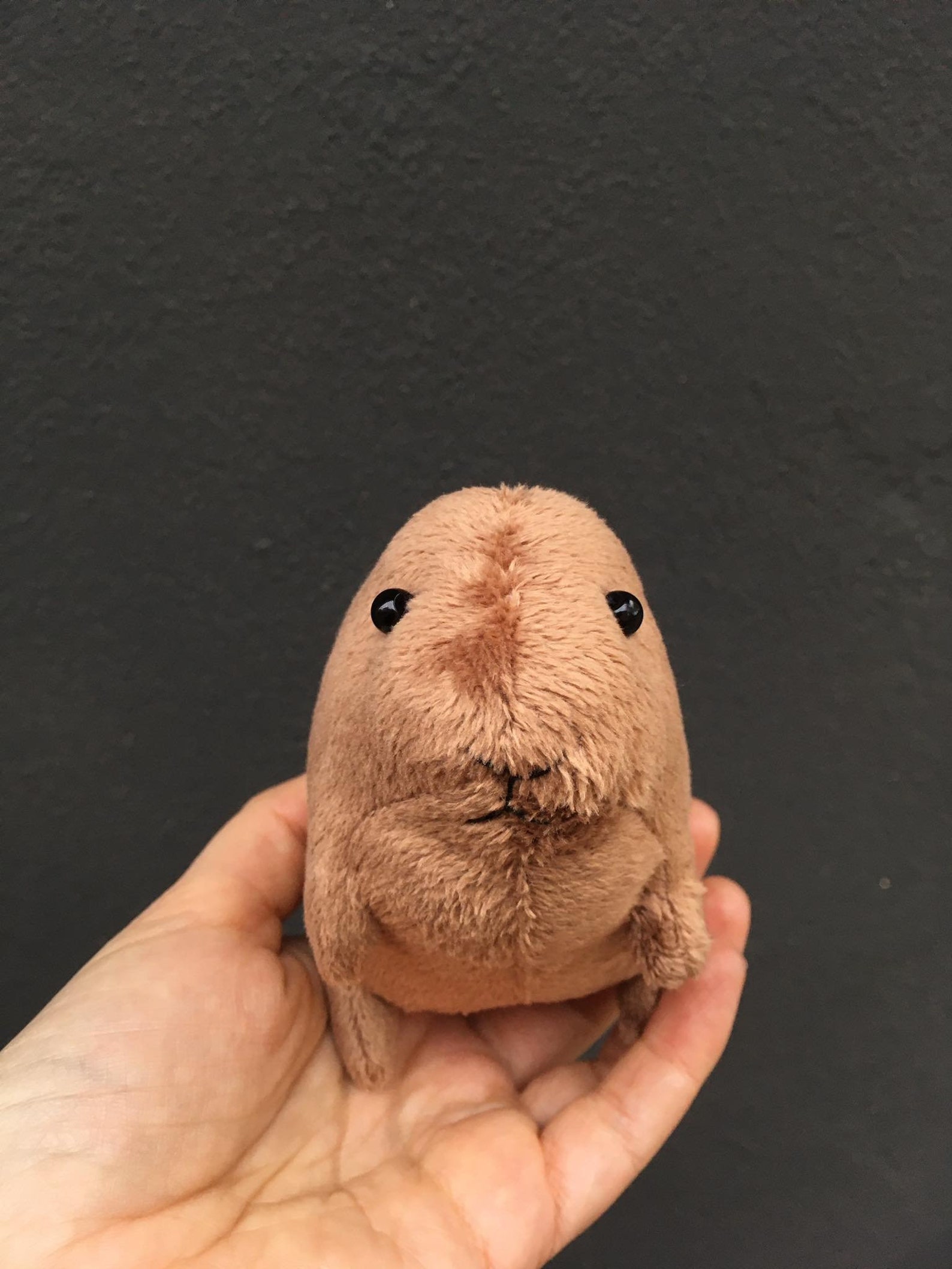 Prairie Dog Plushie | Etsy