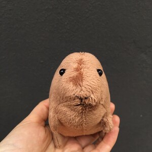 Prairie Dog Plushie - Etsy