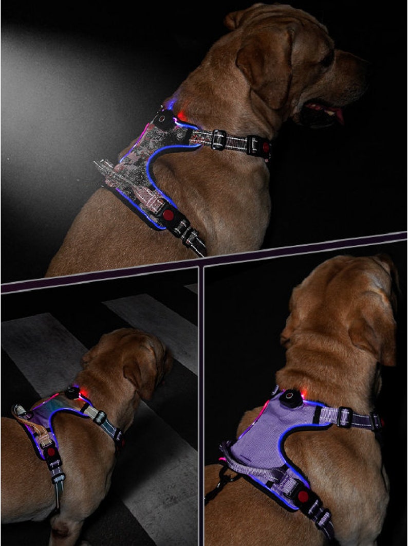 Camouflage Light up Dog Harness No Pull LED Dog Harness With 2 Handles ...