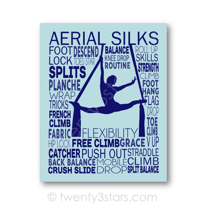 Aerial Silks Word Art Print Aerialist Gift Gift for | Etsy