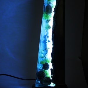 Sea Bottom Lamp, Shark Night Light, Ambient Ocean Lamp, Shark Diorama ...