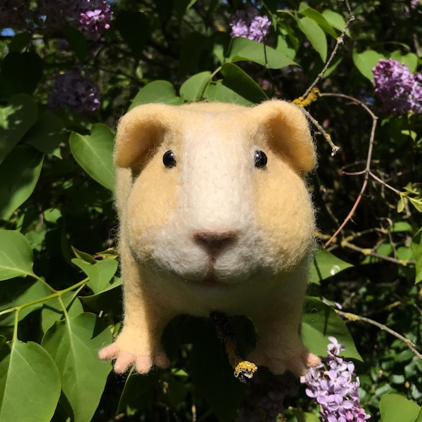 Felt Guinea Pig - Etsy