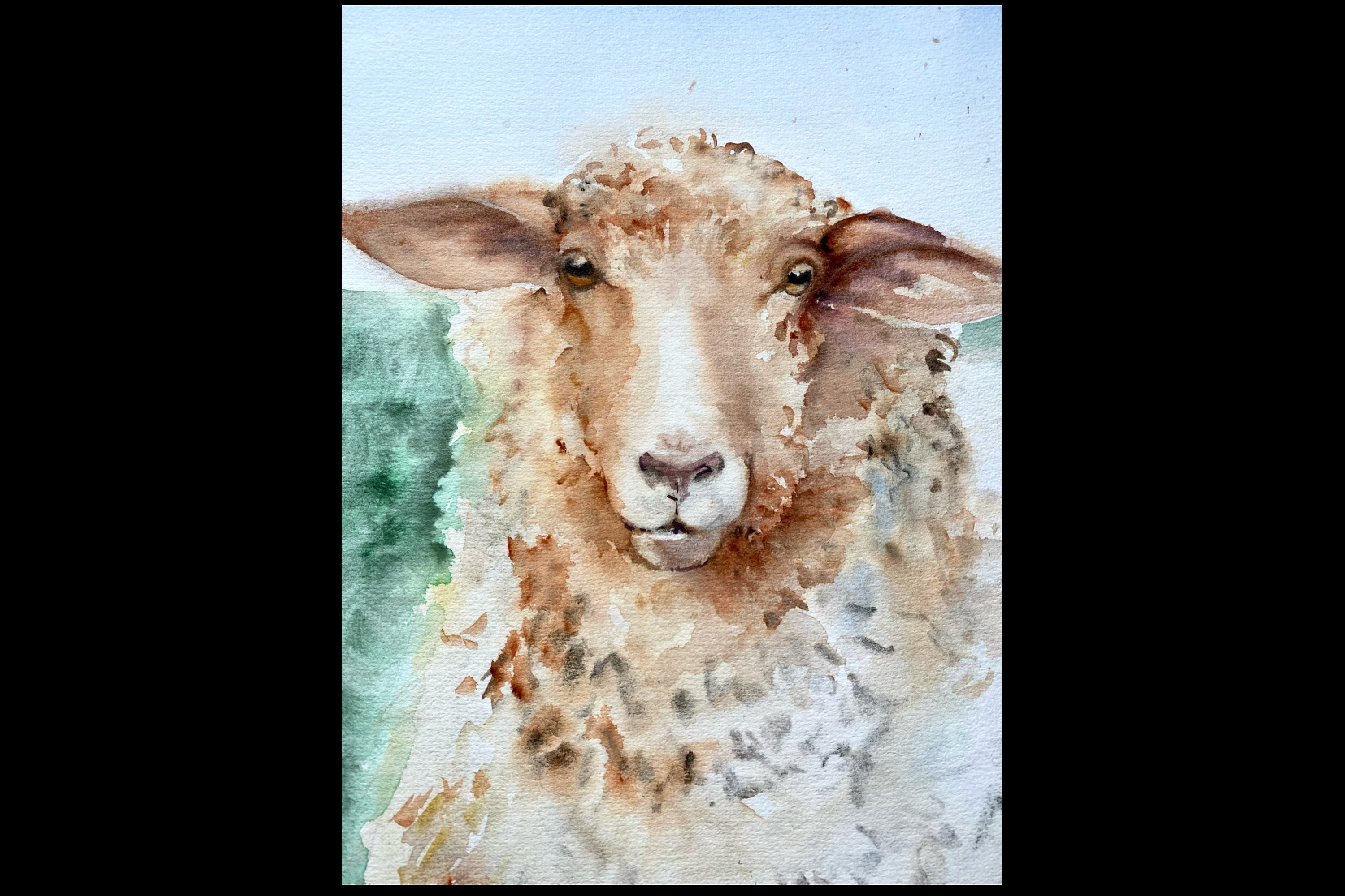 Sheep Original Watercolour Painting,sheep Art - Etsy