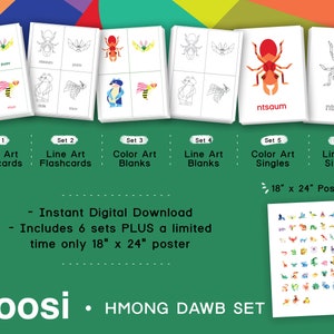Hmong Printable Animal Flashcards & Coloring Sheets 6 Sets | Etsy