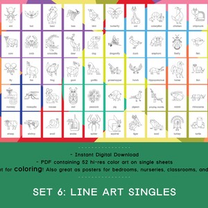 Hmong Printable Animal Flashcards & Coloring Sheets 6 Sets | Etsy