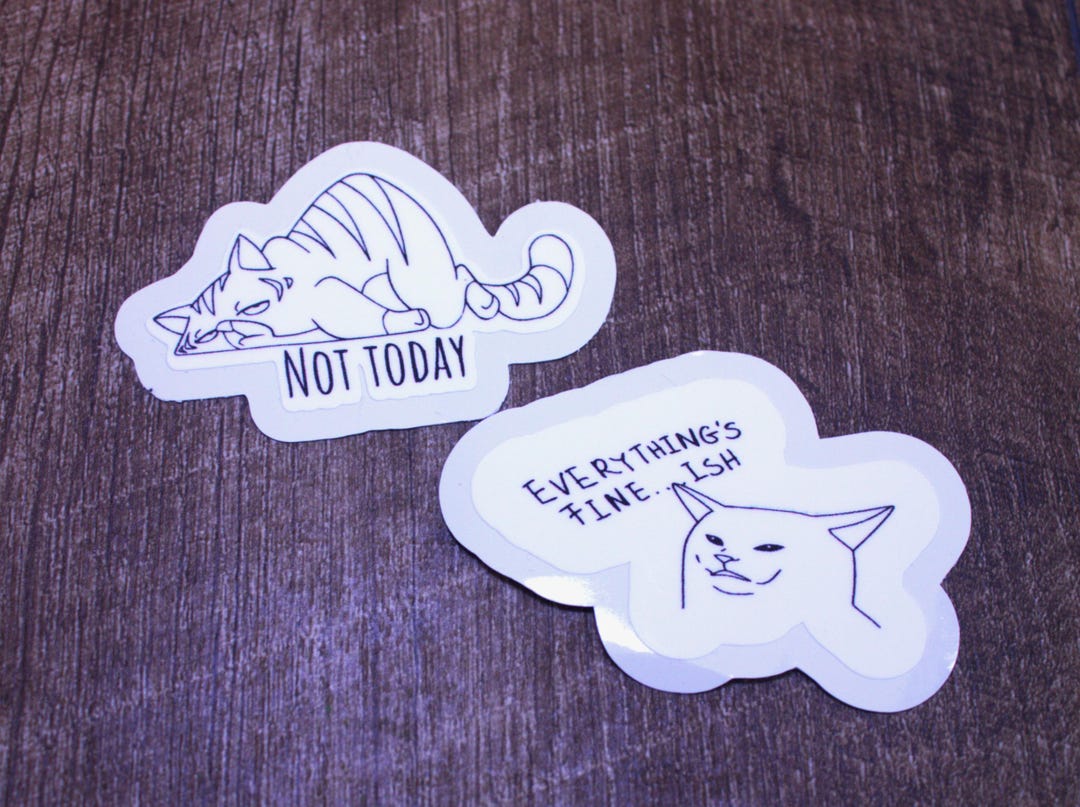 Funny Cat Meme Sticker Set – Relatable Die-cut Vinyl Decals - Etsy