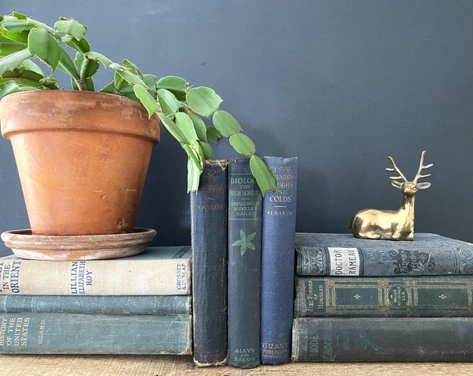 CHOICE Set of 3 Antique Decorative Book Stacks/ Blue Hue Display Books ...