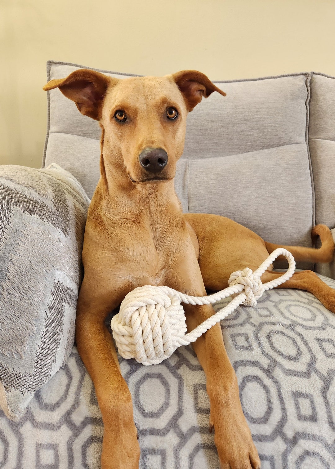 Jumbo Rope Ball Pull - All Natural Cotton Rope Dog Toy - Monkey's Fist ...