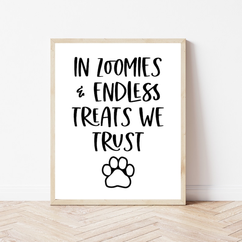 Funny Dog Sign, Doggy Daycare Decor, Zoomies, Veterinarian Gift, Dog ...