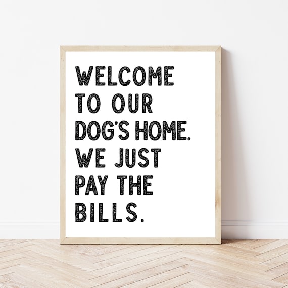 Dog Daycare Signs The Benefits Of Puppy Daycare | Off Leash K9