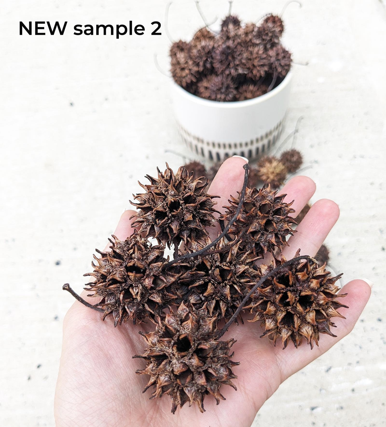 Sweetgum Balls 100pack DIY Christmas Decor | Spiky Balls | Gumball Pods ...