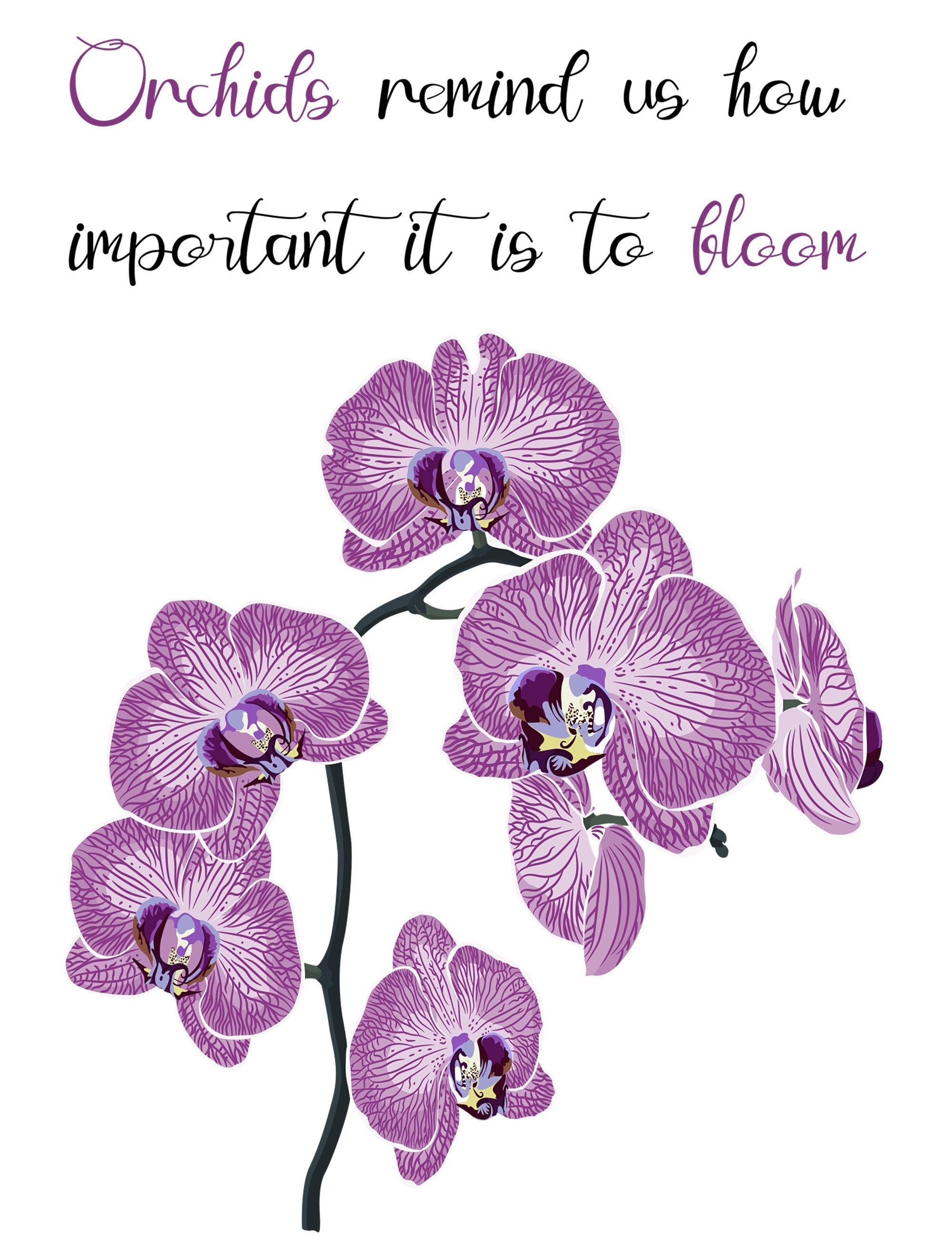 Orchid Blossom Quotes CAN YOU REPOT Phalaenopsis Orchids When They Are