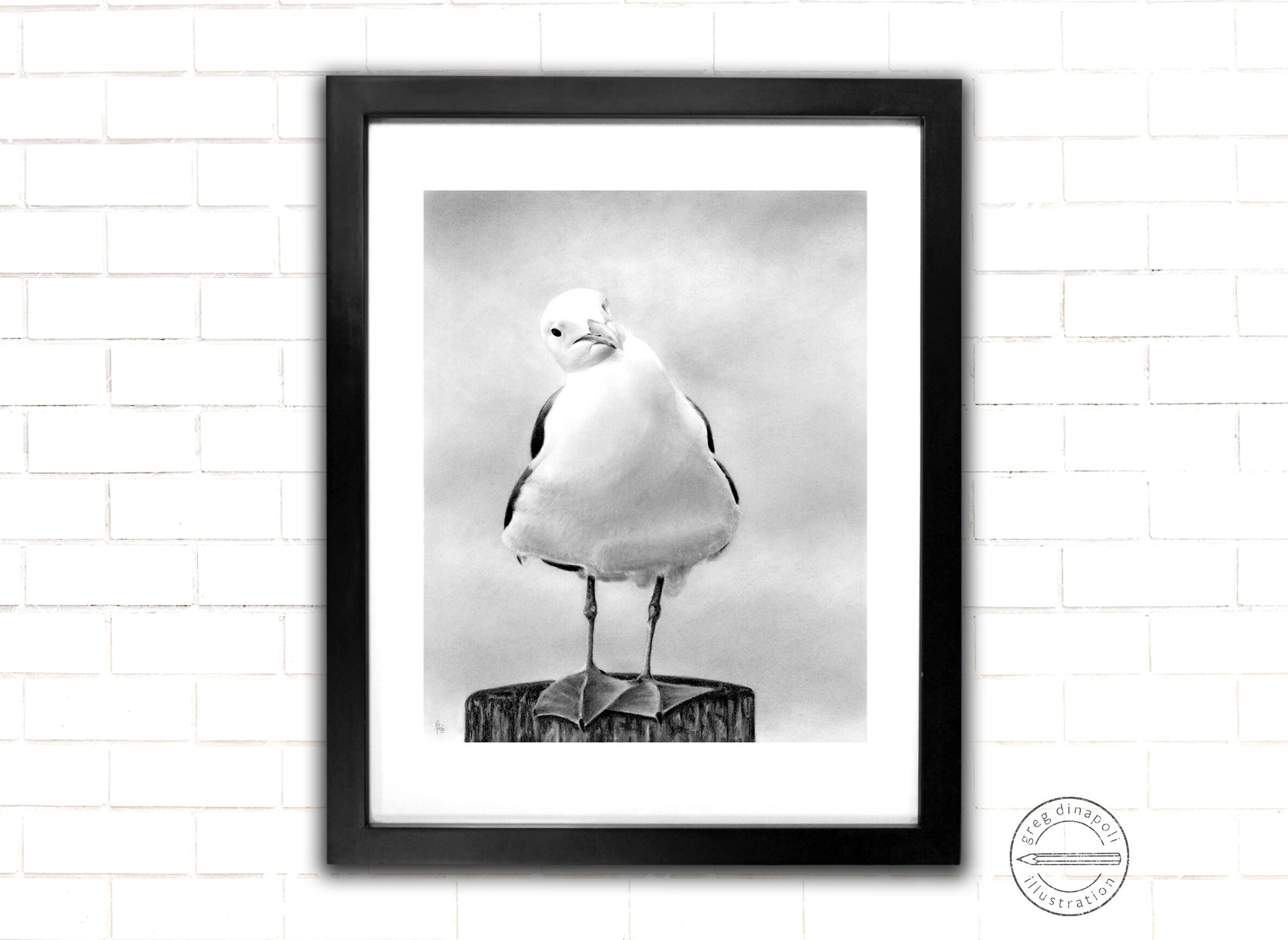 Seagull Pencil Drawing Print - Etsy