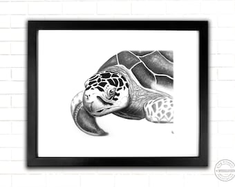 Hawksbill Sea Turtle Pencil Drawing Print - Etsy
