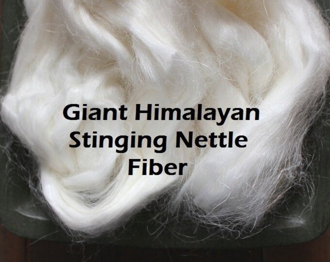 Giant Himalayan Stinging Nettle Top for Spinning Felting or | Etsy