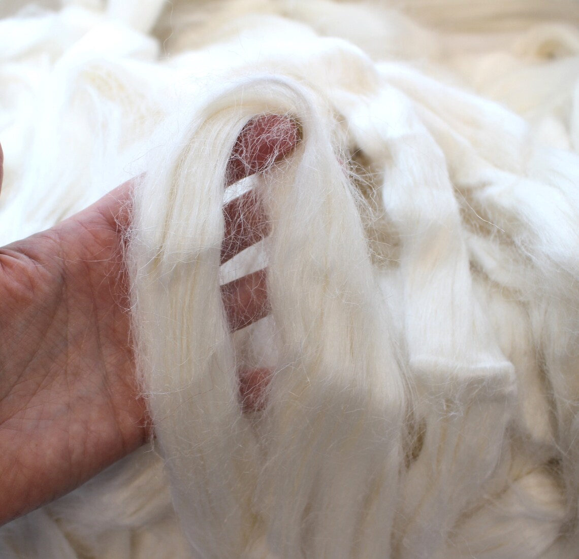 Giant Himalayan Stinging Nettle Top for Spinning Felting or Doll Hair ...