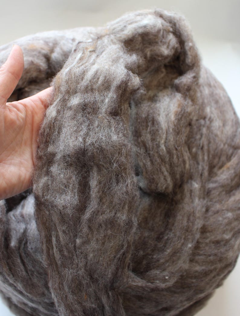 Carded Needle Felting Roving Wool 'squirrel' U.S. Domestically Raised ...