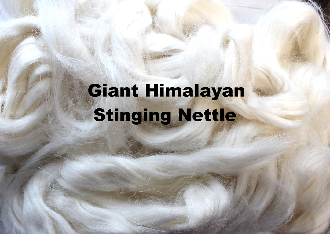 Giant Himalayan Stinging Nettle Top for Spinning Felting or Doll Hair ...