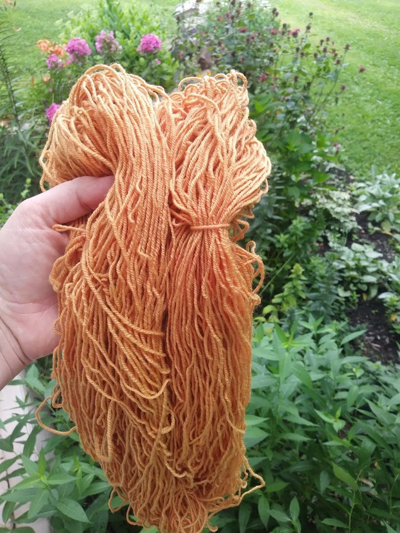 Hopi Red Dye Amaranth Seed Amaranthus Cruentus Seeds Natural | Etsy