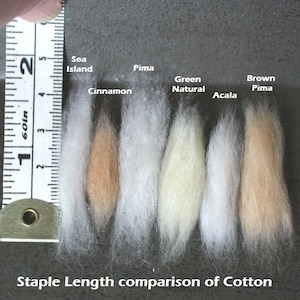 Pima Combed Cotton Easy to Spin Sliver for Spinning, Blending, Dyeing ...