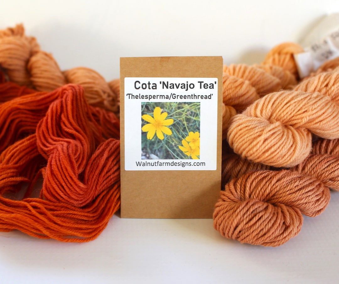 Cota, Navajo Tea, Greenthread, Thelesperma Filifolum Natural Dye Plant ...