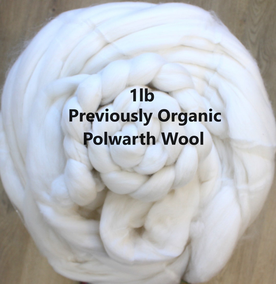 1lb Previously Organic Polwarth Natural Bare Combed Top Wool Roving ...
