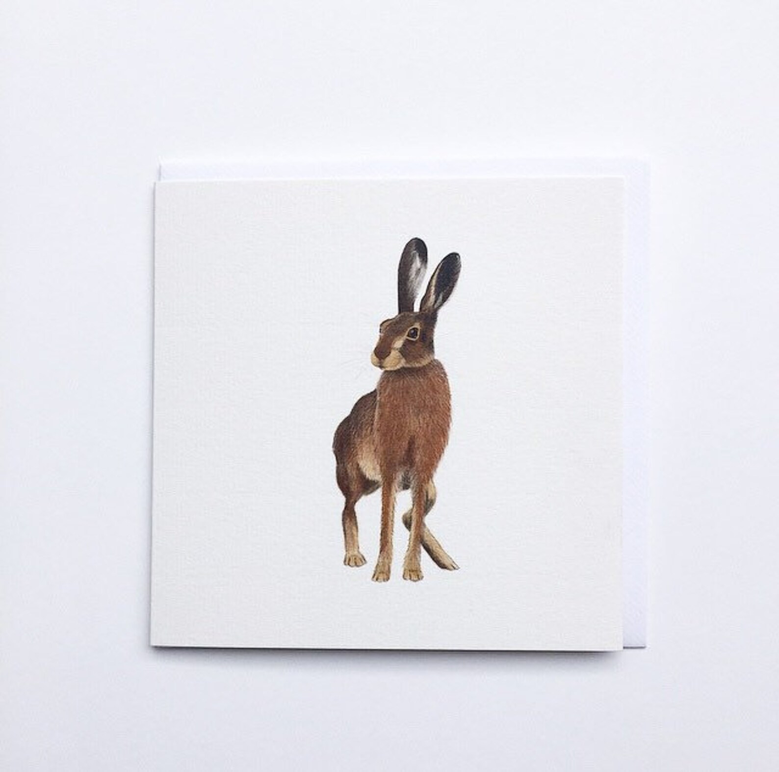 Hare Greetings Card - Etsy