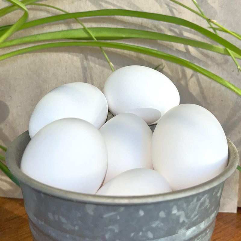 Pysanky Eggs Empty - Etsy