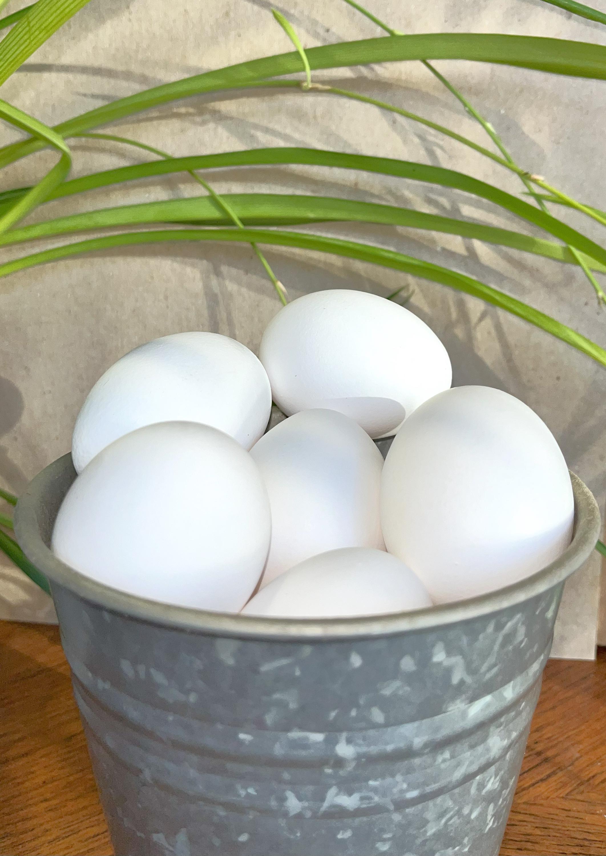 Empty Real Chicken Egg Shell - White - Clean Hand Blown - Psanky ...