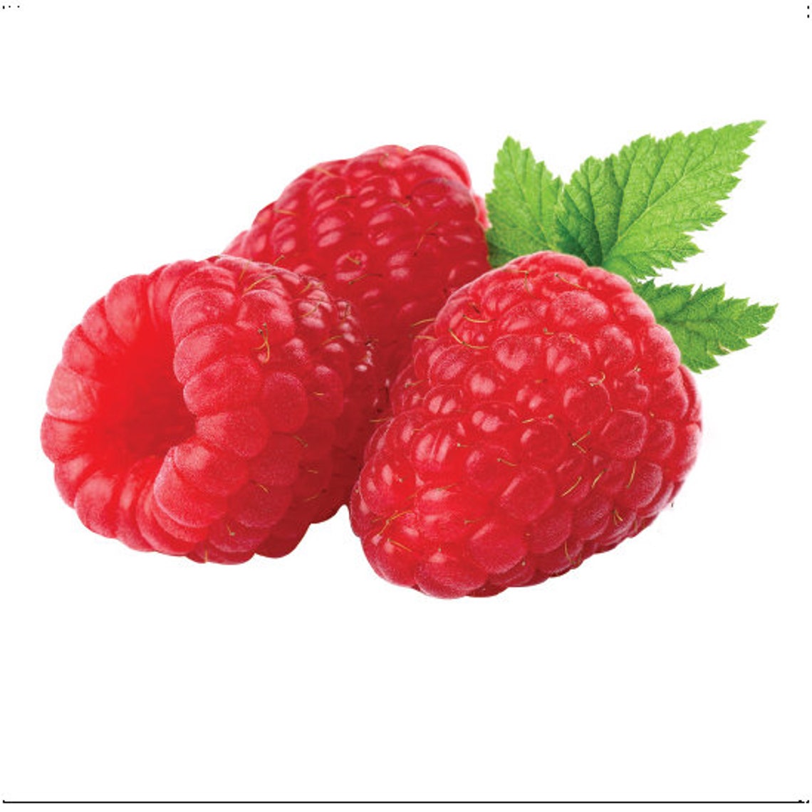 Natural Raspberry Perfume Oil - Made With Organic Sweet, Zingy Fruit ...