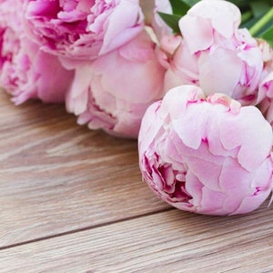 Peony Perfume Oil - Spring Peonies Floral Scent Roll on Fragrance ...