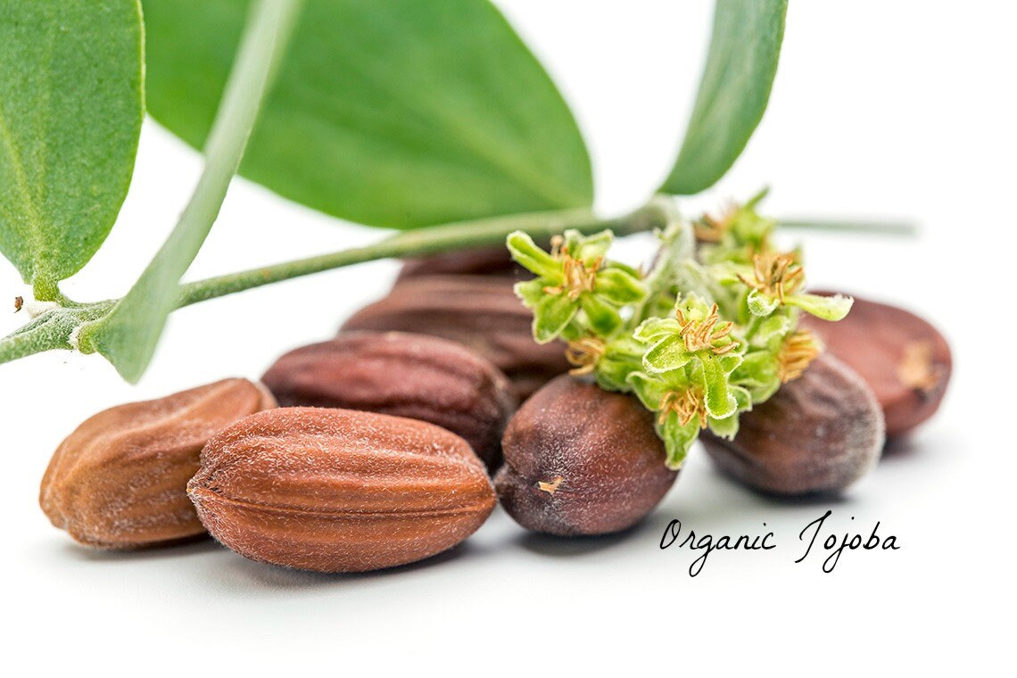 Organic Prickly Pear Seed Face Oil - Natural Cactus Facial Care Serum ...