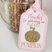 Little Pumpkin Favor Tags, Set of 12, Lil Pumpkin Party Decorations ...