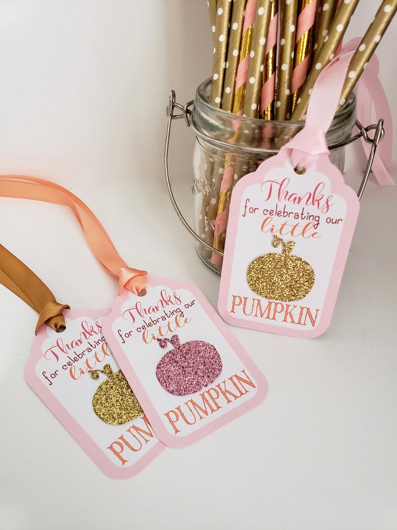 Little Pumpkin Favor Tags Set of 12 Lil Pumpkin Party | Etsy