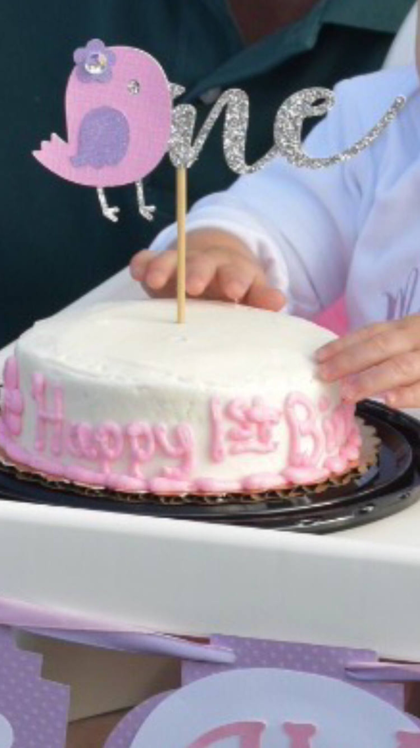 Bird Birthday Party Set Birdy Banner Birdcage Party Theme | Etsy