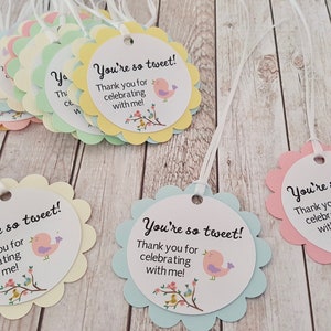 Bird Favor Tags. Set of 12. You're so Tweet. Bird Party Decorations. - Etsy