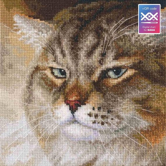 Gato Astuto