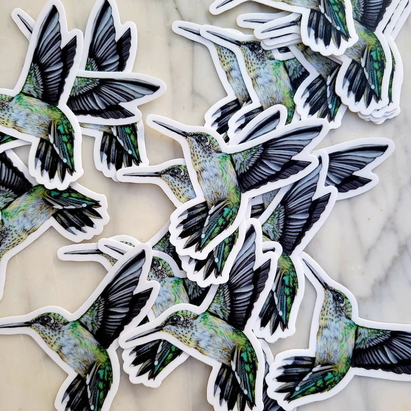 Hummingbird Sticker - Etsy